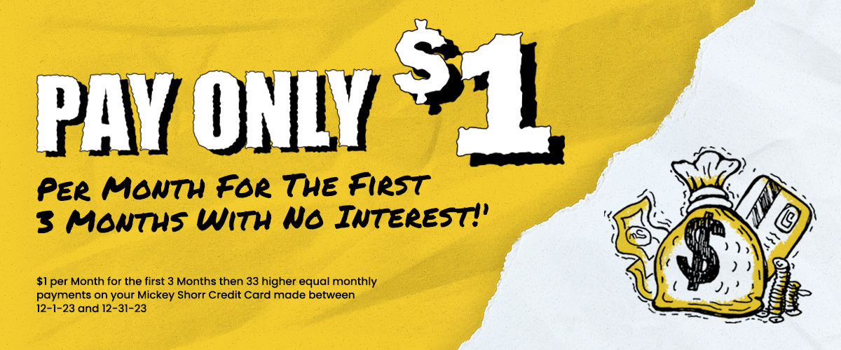 Car, Motorcycle, Boat, & Powersports Mobile Electronics Store | Mickey ...